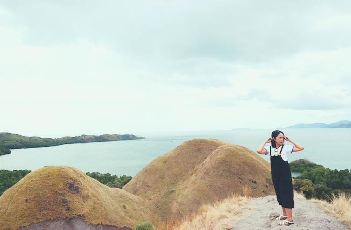 One Day Trip to Komodo National Park - Travel & Wander Blog by Jennifer ...